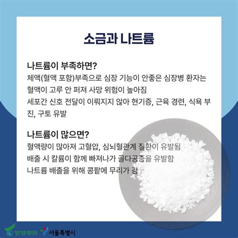 [활동] 1인가구 식생활 매뉴얼 2 요리하기 편 환경정의 초록으로 그리는 정의로운 세상
