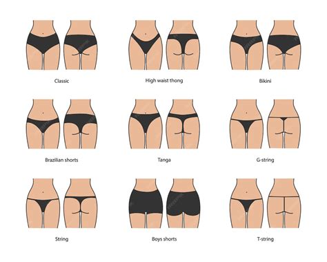 Premium Vector Types Of Womens Panties Front And Behind View