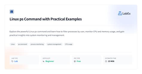 linux ps command with practical examples labex