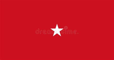 United States Marine Corps Brigadier General Flag Vector Illustration Premium Quality Stock
