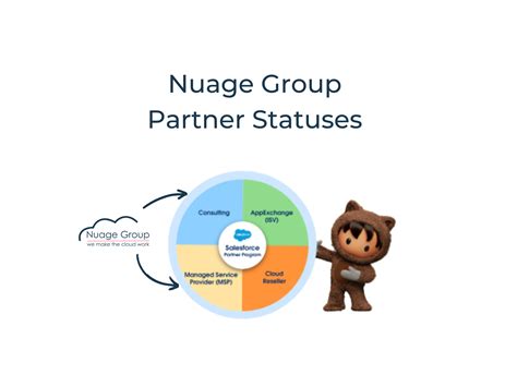 Salesforce Partner Wheel With Header The Nuage Group