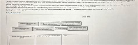 Solved Dendrites And Cell Body Of The Postsynaptic Cell
