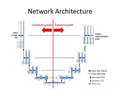 Explain Fully Convolutional Network And Unet