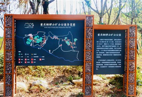 渝北区铜锣山矿区生态修复入选重庆首届生态保护修复十大案例 澎湃号政务 澎湃新闻 The Paper