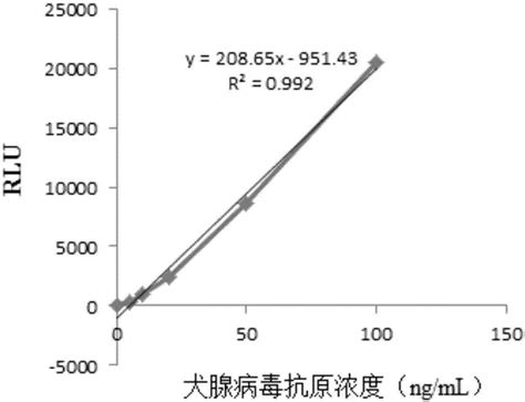 一种犬腺病毒Ⅱ型检测试剂盒和方法与流程2