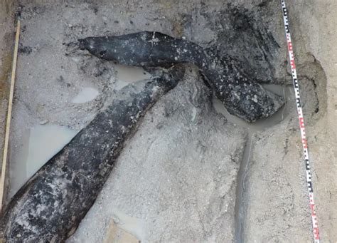 Archaeologists Find 476 000 Year Old Wooden Structure