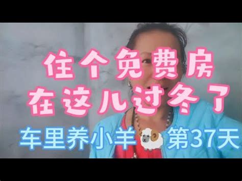 山东大姐一人一车带小羊自驾游西藏这次真捡到别野了 YouTube