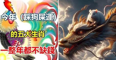 今年（踩狗屎運）的五大生肖，一整年都不缺錢 趣聞圖說