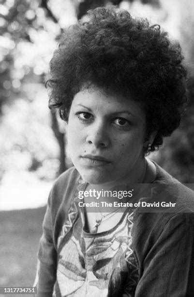275 Phoebe Snow Photos And High Res Pictures Getty Images
