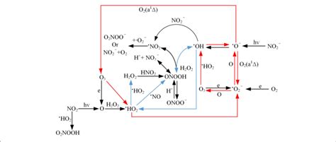 Schematic Diagram Of Several Chemical Reactions That Occur In Paw