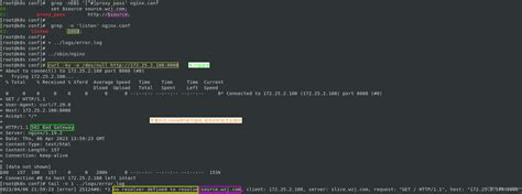 Nginx六十proxy模块一proxypass指令nginx Proxy Csdn博客