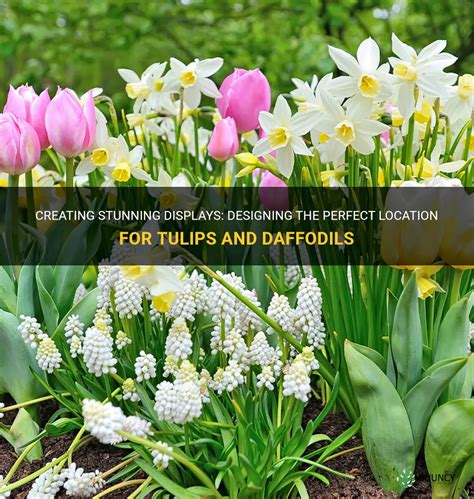 Creating Stunning Displays Designing The Perfect Location For Tulips