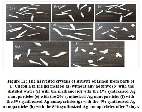Anti Urolithiatic Activity Of Silver Nanoparticles Of Terminalia