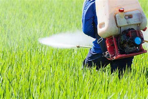 Upl To Launch Rice Insecticide Flupyrimin Agribusiness Global