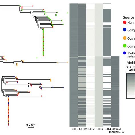 Population Structure Of 227 Sequence Type 6964 Campylobacter Jejuni Download Scientific Diagram