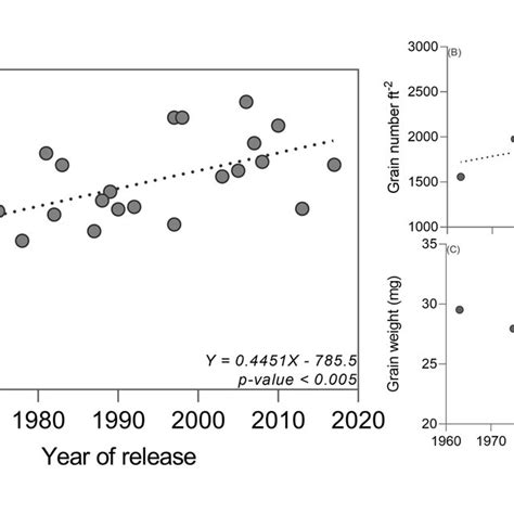 Relationship Between Best Linear Unbiased Estimators Blues For Grain Download Scientific