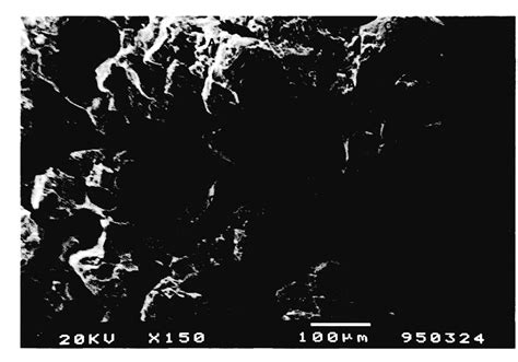 Typical Microstructure Of Sediments Of The Qsr Showing High Porosity