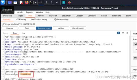 Kali Linux漏洞注入实战指南kali检测注入点 Csdn博客