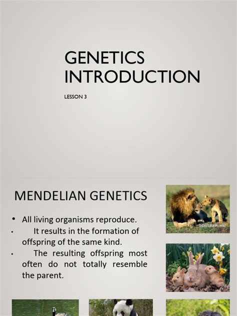 Genetics Intro Download Free Pdf Dominance Genetics Biological