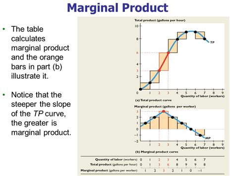 Marginal Product Graph