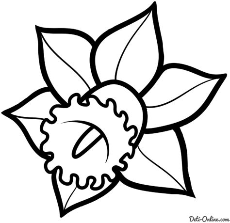 Як намалювати квіти малюємо різні види квіток