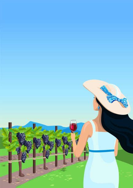 110 Buah Tanpa Biji Ilustrasi Grafik Vektor And Clip Art Bebas Royalti
