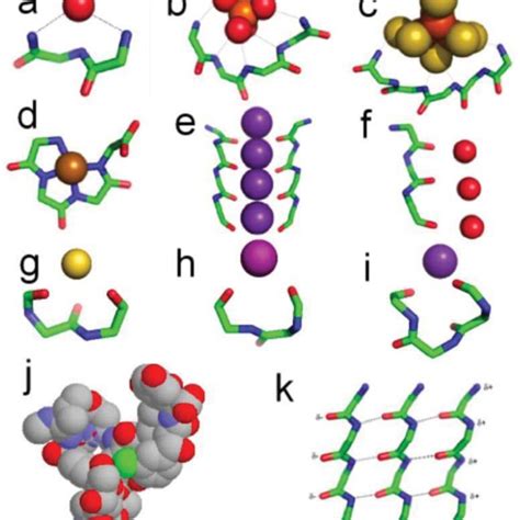 Motif Structures A Nest Binding A Carbonyl Oxygen B Nest Binding A