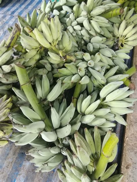 กล้วยฉาบ เผือกฉาบ ฟักทองฉาบ ขนมเบเกอรี่ ขนมอร่อยหลากหลาย