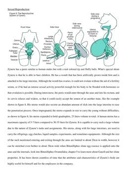 Pool Zyneru Character Sheet E