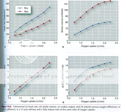 Complete Soccer Training Physiological Responses To Acute Exercise