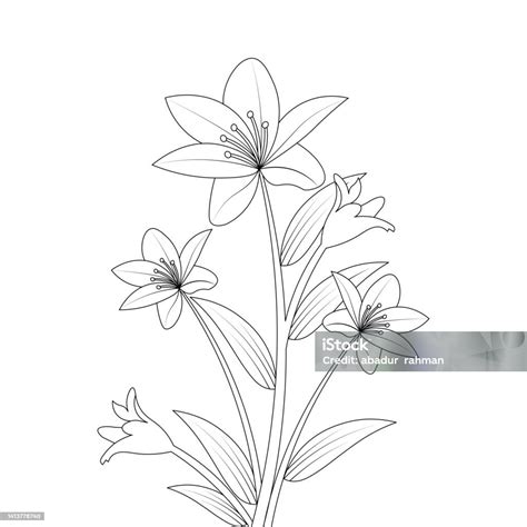 백합 꽃 선 아트 그리기 인쇄 요소의 아이 색칠 페이지를위한 연속 연필 삽화의 그리기 라인아트에 대한 스톡 벡터 아트 및 기타 이미지 라인아트 백합 0명 Istock