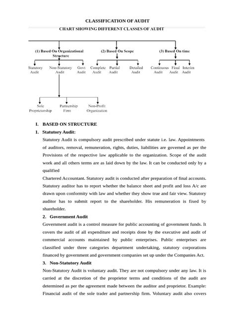 Classification Of Audit Pdf