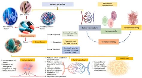 Vijith Shetty On Linkedin Cancer A Leading Cause Of Mortality Is Traditionally Treated With