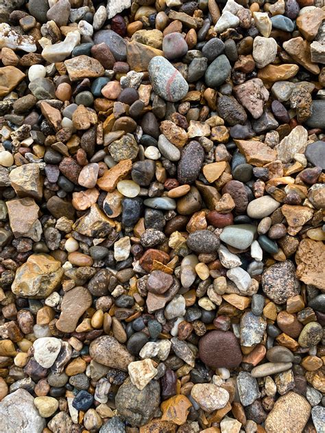 Medium River Rock Plants Plus