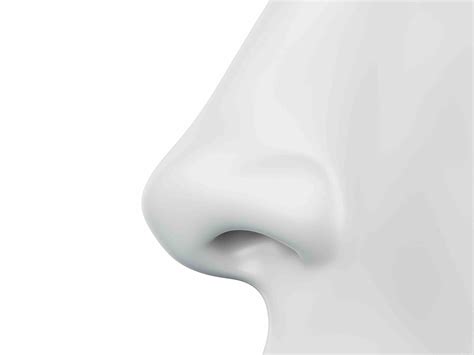 Different Nose Shapes Male Rillymega