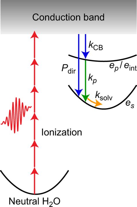Ultrafast Electronic Relaxation Dynamics Of Ionized Liquid Download Scientific Diagram