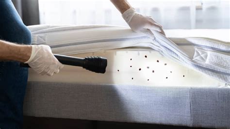Bed Bug Bombs And Foggers Do They Work Research Backed