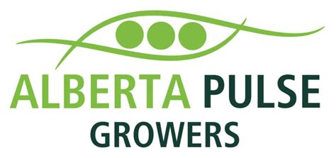 Sex In A Pan Recipe For The Most Delicious And Easiest Of Desserts Sex In A Pan Recipe For The Most Delicious And Easiest Of Desserts