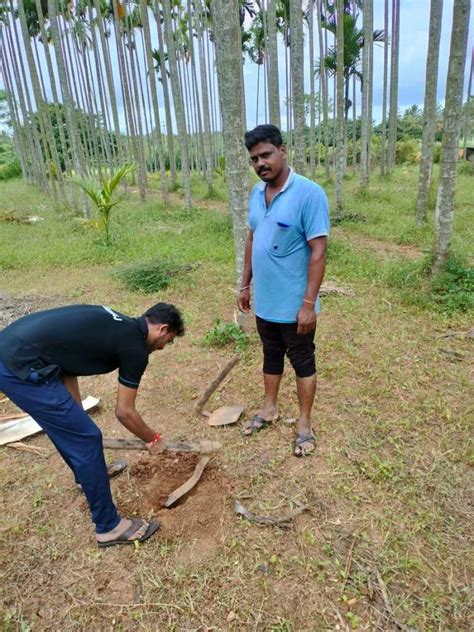 Soil Sample Collection Department Of Agricultural Extension College