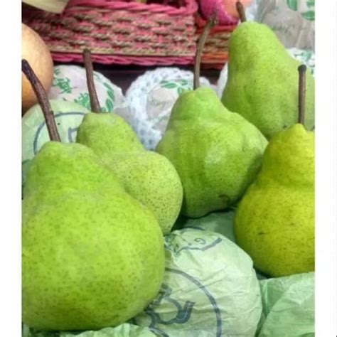Jual Pear Peer Per Pir Hijau Pakam Import Jakarta Timur Buah Segar Nurul Tokopedia