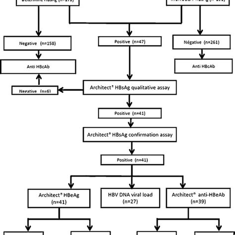 Flowchart Showing The Process For Hbv Antigenantibody Detection And