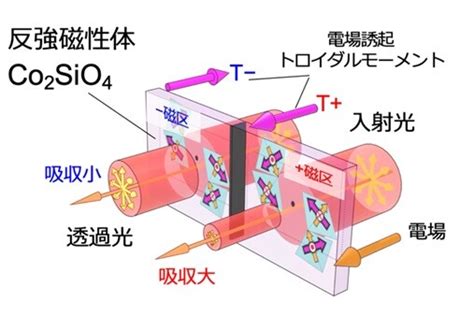 反強磁性体における新たな光学現象を観測～電場印加により光の吸収が変化する性質を用いた磁区構造の可視化～ テック・アイ技術情報研究所