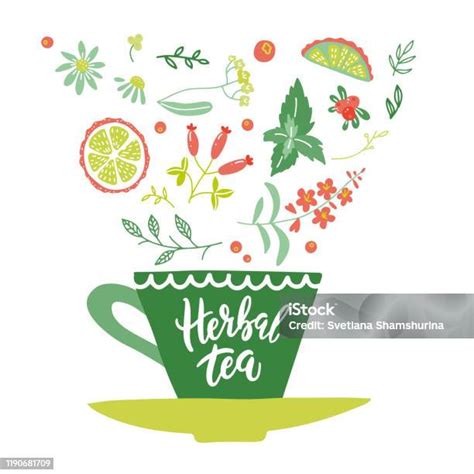 독특한 손으로 쓴 글자 개념입니다 떨어지는 허브와 딸기와 허브 차 한 잔의 평평한 그림 손으로 그린 고립 벡터 일러스트레이션 겨울에 대한 스톡 벡터 아트 및 기타 이미지