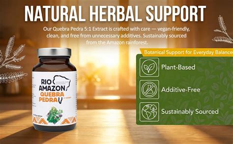 Rio Amazon Quebra Pedra Liver Detox And Support Supplements 500mg