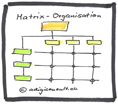 Grafik Matrix Organisation › Adigiconsult Gmbh