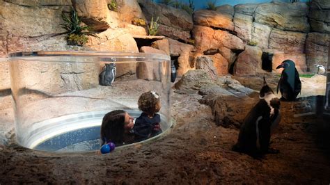 7 Must See Things To Do At The New Mote Aquarium In Sarasota