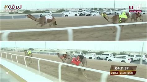 ش4 الصداوي لـ فهد عميران بجاش الفهيده المري المحلي الثامن 2 4 2023ص