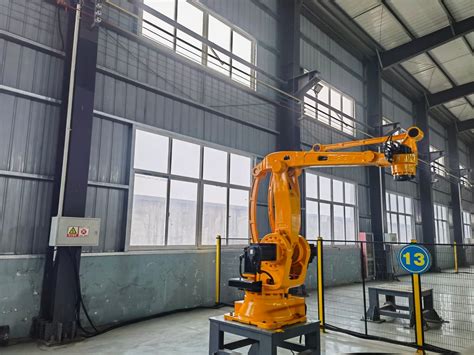 China Multi Joint Intelligent Palletizing Robot Industrial Robot