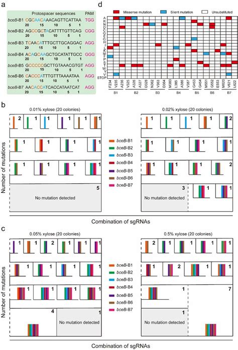 Identification Of Genetic Diversification Resulting From A Dual Base Download Scientific