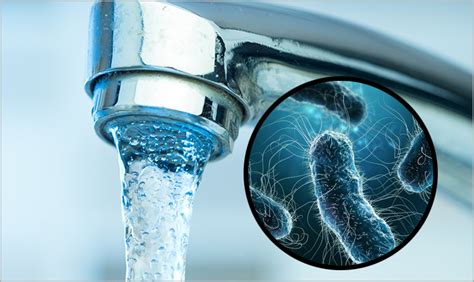 Infection Control Today Highlights The Importance Of Protecting Against Waterborne Pathogens